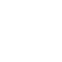 THE RIP BUDDY – The Rip Buddy