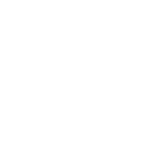 THE RIP BUDDY – The Rip Buddy